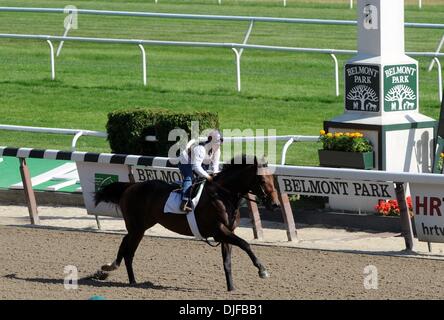 Jun 02, 2010 - Elmont, New York, USA - Jockey RICHARD MIGLIORE with ...