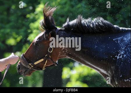 Jun 02, 2010 - Elmont, New York, USA - Jockey RICHARD MIGLIORE with ...