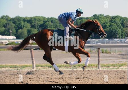 Jun 02, 2010 - Elmont, New York, USA - Jockey RICHARD MIGLIORE with ...