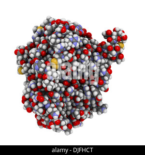 Recombinant DNase I DNA cutting enzyme (dornase alfa), chemical ...