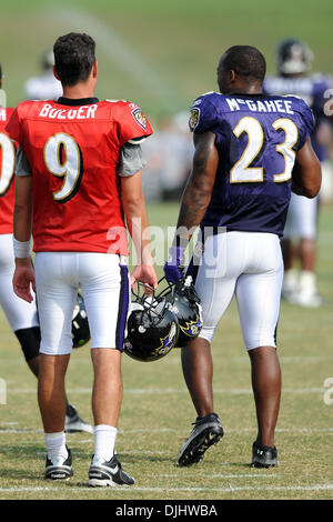 Baltimore Ravens quarterback Marc Bulger throws a pass during the NFL ...