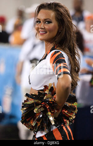 The Cincinnati Bengals cheerleaders, the Ben-Gals, perform during the ...