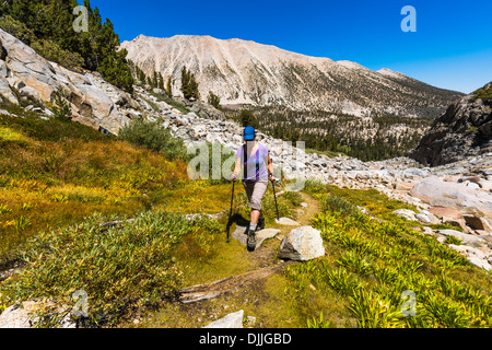 Hiker in Sam Mack Meadow under the Palisades, John Muir Wilderness ...
