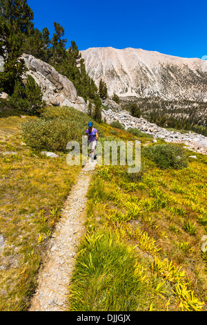 Hiker in Sam Mack Meadow under the Palisades, John Muir Wilderness ...