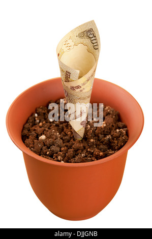 Money Plant - Conceptual image depicting money growing like a plant in ...