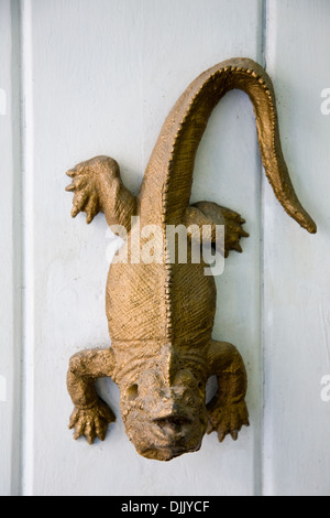Iguana, Cartagena, Bolivar, Colombia, South America Stock Photo - Alamy