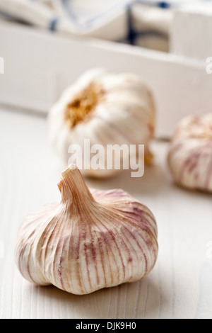 food, aliment, spice, vegetable, garlic, bulb, backdrop, background ...