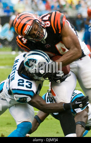 Carolina Panthers safety Sherrod Martin (23), linebacker James Anderson ...