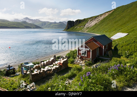 Outbuildings At Fishcamp In False Pass, Southwest Alaska, Summer Stock ...