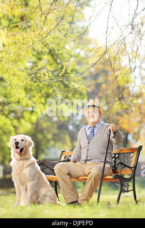Senior with a labrador retriever seated on a bench isolated on white ...