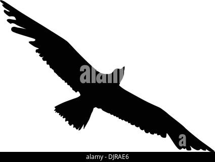Flying albatross silhouette, Albatross silhouettes, Albatross bird ...