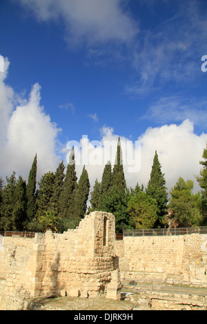 The Church of St. Anne and the ruins of the Bethesda Pool in Jerusalem ...
