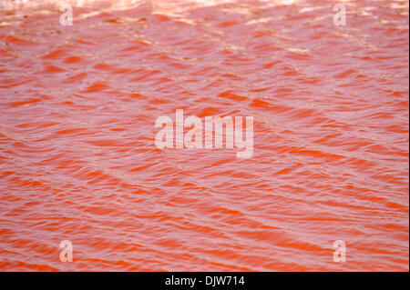 Salt is produced at a salt field near Walvis Bay, Namibia, 29 March ...