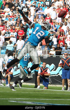 October 24, 2010; Carolina Panthers wide receiver David Gettis (12 ...