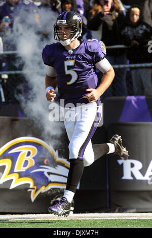 The Baltimore Ravens team enters the field during before an NFL ...