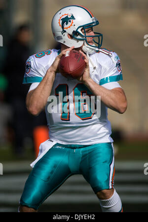Miami Dolphins quarterback Tyler Thigpen (16) in action during the ...