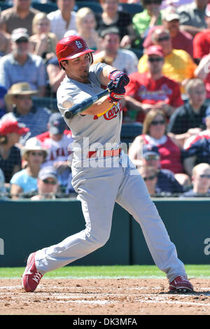 Fort Myers, FL: St. Louis Cardinals second baseman Nolan Gorman (16 ...