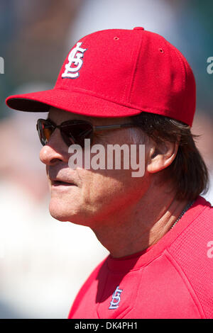 San Francisco Giants manager Tony Vitello watches batting practice ...