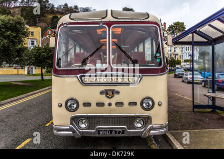 Leyland Tiger Cub, single decker, service bus Stock Photo - Alamy