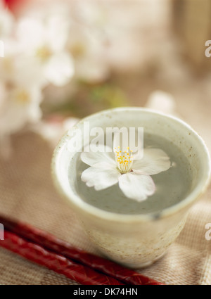 Cherry blossom tea (Sakurayu or Sakura-cha) Japanese infusion created ...
