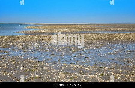 danish wadden sea national park Stock Photo - Alamy