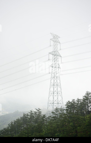 Transmission tower in fog Stock Photo - Alamy