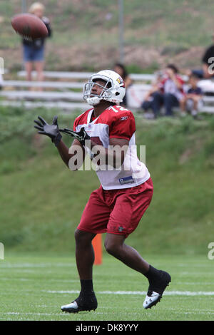 Arizona Cardinals wide receiver Andre Baccellia runs down field during ...