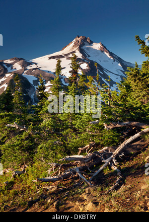 Jefferson Park and Mount Jefferson from the Pacific Crest Trail at the ...