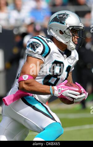 Carolina Panthers wide receiver Kealoha Pilares (81) is shown during an ...