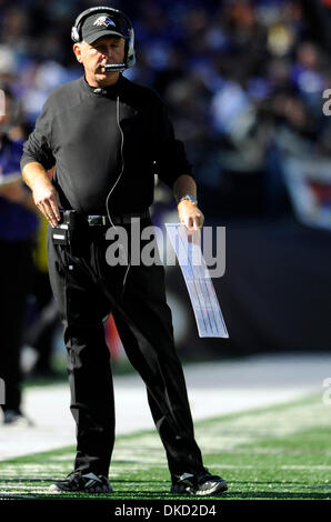 Baltimore Ravens offensive coordinator Cam Cameron is shown during the ...