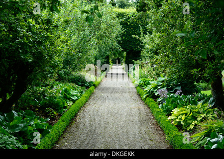 mix mixed herbaceous beds borders ornamental walled kitchen garden ...