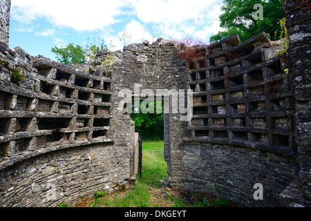 old disuse disused dove cote coot dovecote ruin ruined ballindoolin ...