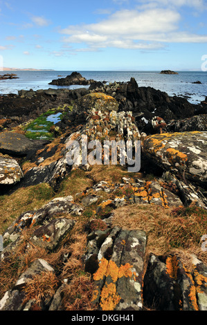 Sunny spring day in Islay, Scotland Stock Photo - Alamy
