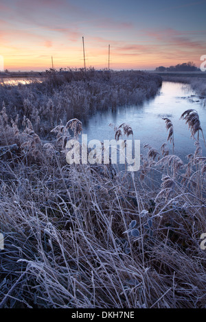Winter scene in the Norfolk Broads near Ludham Bridge, Norfolk, United ...