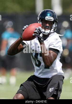 Jacksonville Jaguars wide receiver Jarett Dillard (87) during pregame ...