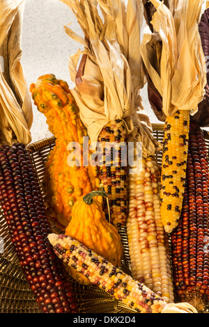 Still life with seasonal yellow and green patissons and zucchini are on ...
