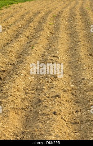 furrows on the field for cultivating plants Stock Photo - Alamy