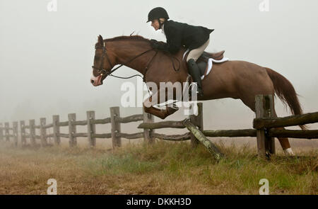 A fox hunter jumps a fence on an organized fox hunt by an Albuquerque ...