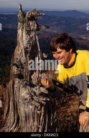 Mt Hebo stump on Pioneer Indian Trail, Siuslaw National Forest, Oregon ...