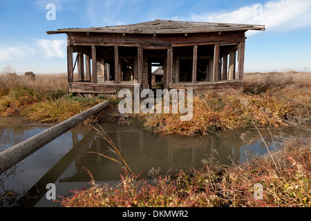 An abandoned shack slowly sinks into the marsh at the ghost town of ...
