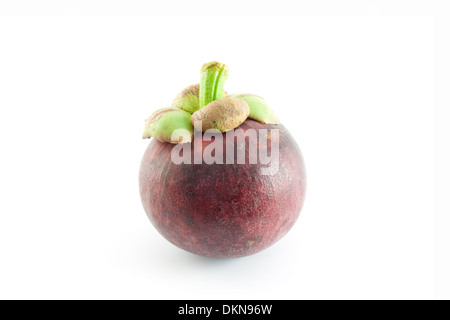 single mangosteen on white background Stock Photo - Alamy