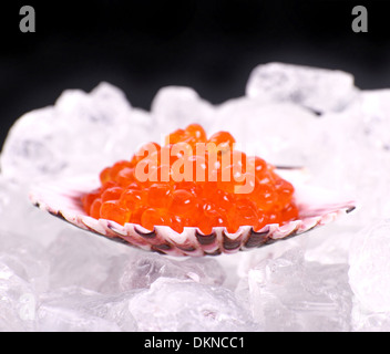 Big shell filled with red salmon caviar on ice, close up Stock Photo ...