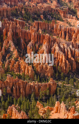Hoodoos of Bryce Canyon in Bryce Canyon National Park, UT Stock Photo ...