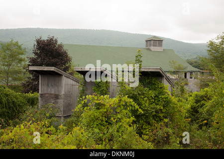 Abandoned and overgrown old fairgrounds in Great Barrington ...