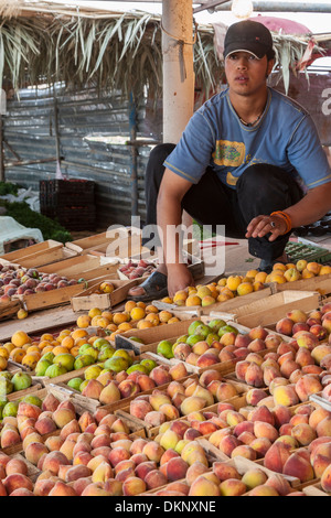 Selling vegetables, Tripoli, Libya Stock Photo - Alamy