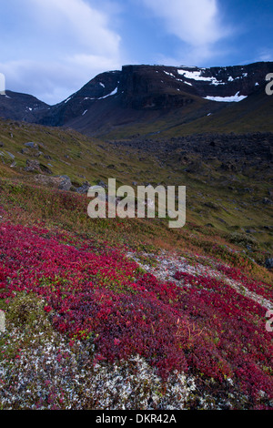 Europe Skanden Kärkevagge Lapland Northern Europe Sweden Scandinavia ...