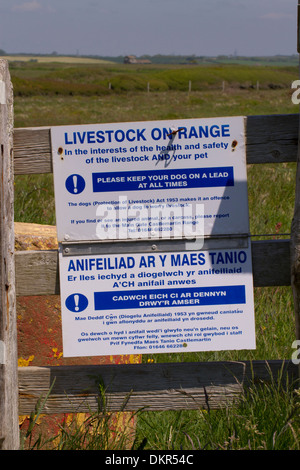 Warning signs on a military firing range at Ash Ranges, Surrey - danger ...