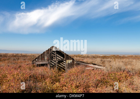 An abandoned shack slowly sinks into the marsh at the ghost town of ...