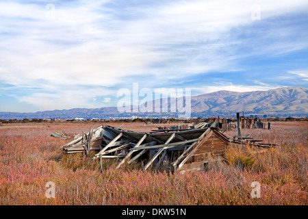 An abandoned shack slowly sinks into the marsh at the ghost town of ...