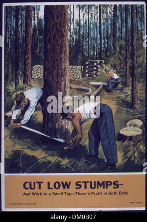Cut Low Stumps Stock Photo - Alamy